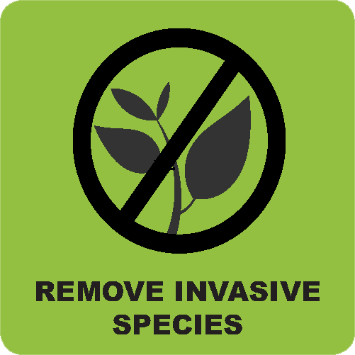 Woodland Management Plan